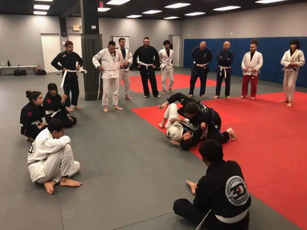 Brazilian Jiu-Jitsu: Exceptional Martial Arts for Everyone now in 2025
